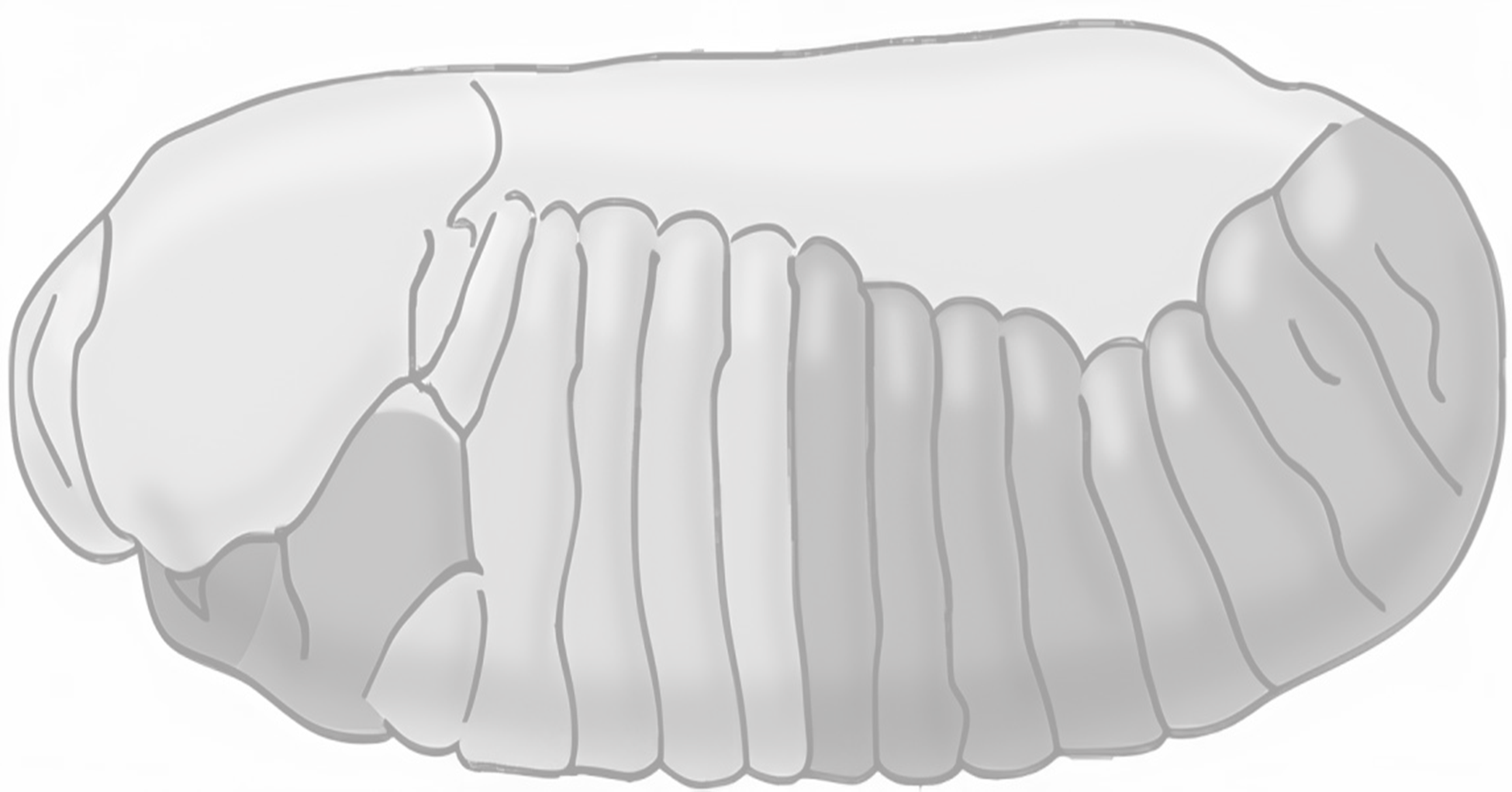 Mapa_conceptual_Ev1 | Genially