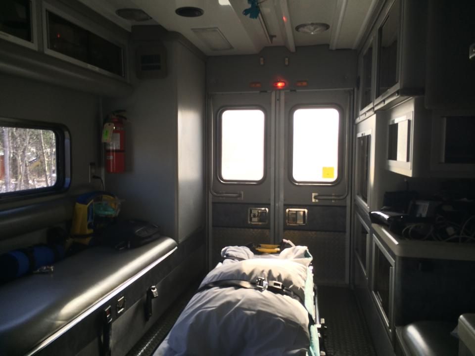 Adams Infographic | Genially