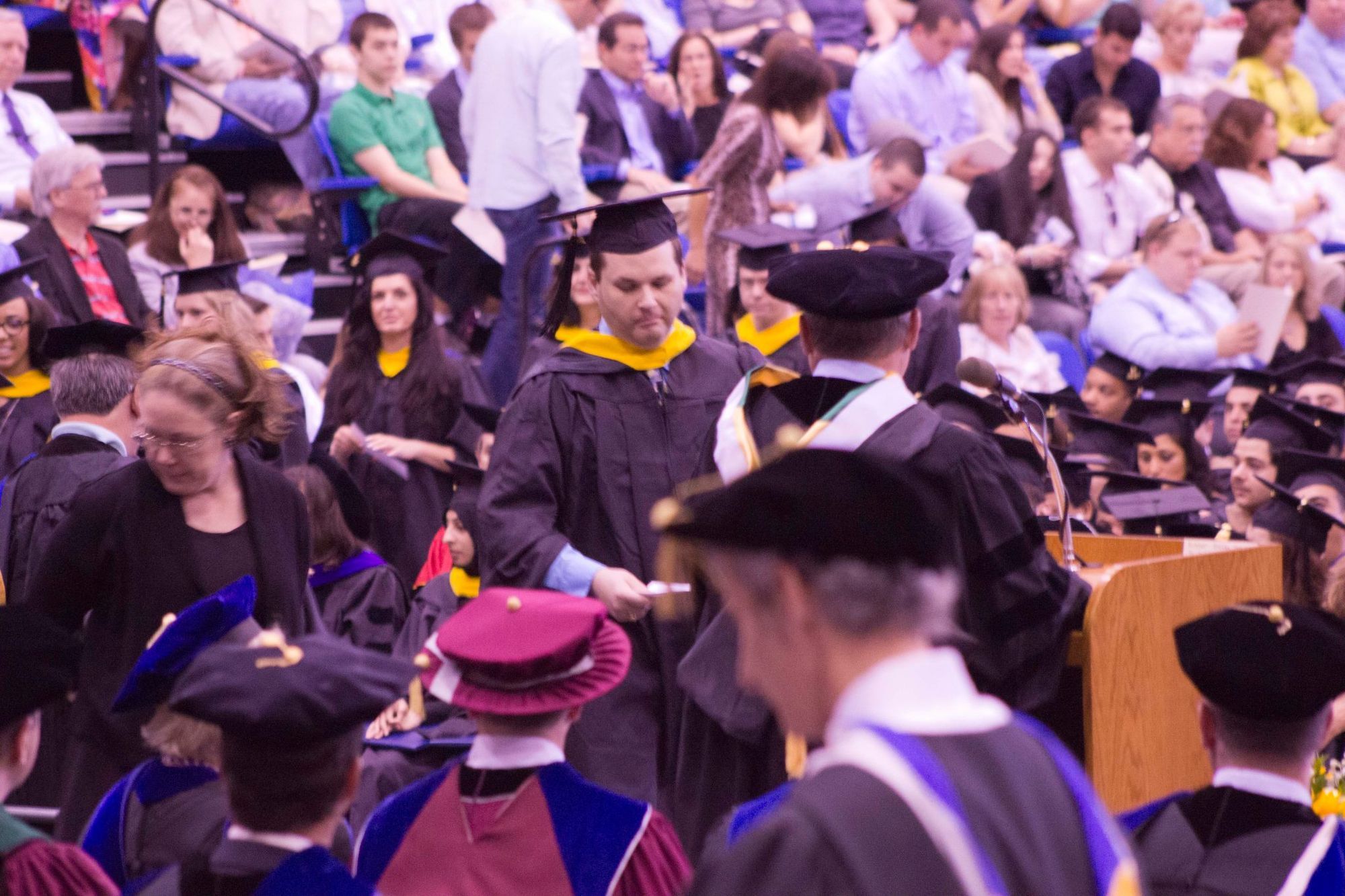 Adams Infographic | Genially