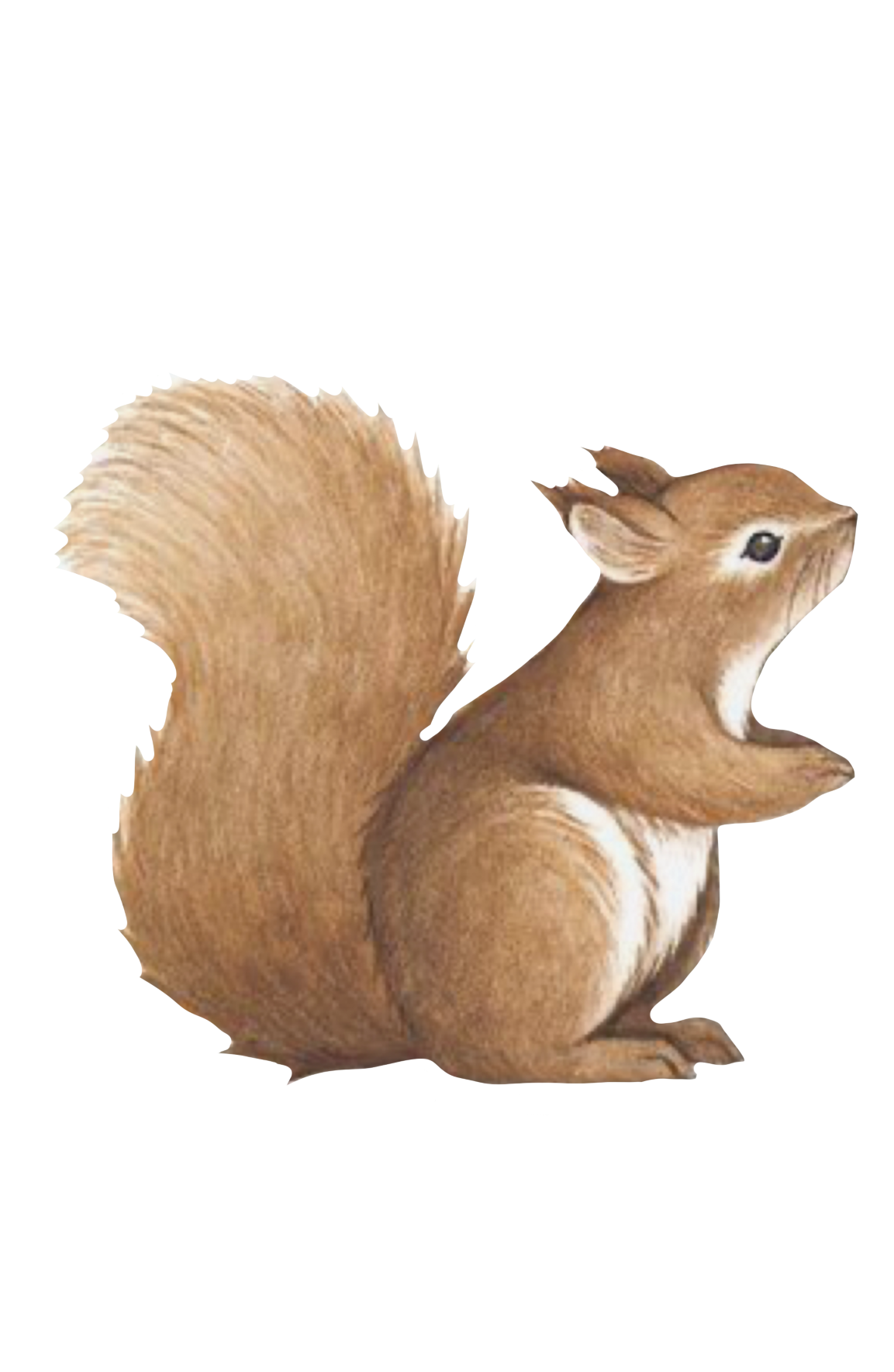 Forest animals - FIND THE PAIRS 2 | Genially