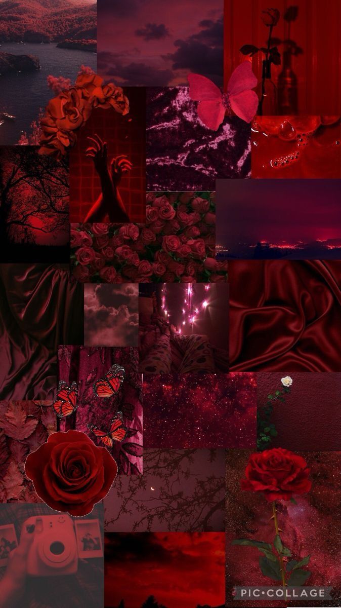 Untitled genially | Genially