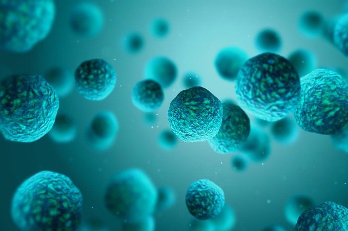 Bacteria Coco These Bacteria Clean Up Radioactive Waste | NSF