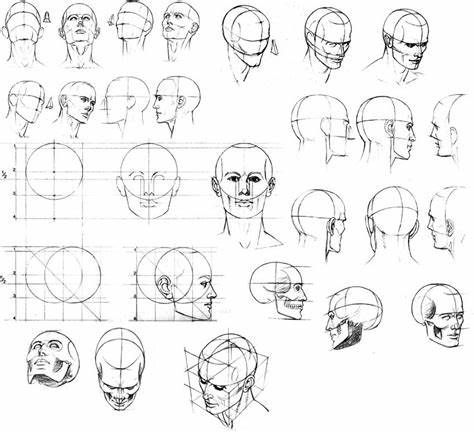 INFOGRAFIA-CASANOVA | Genially