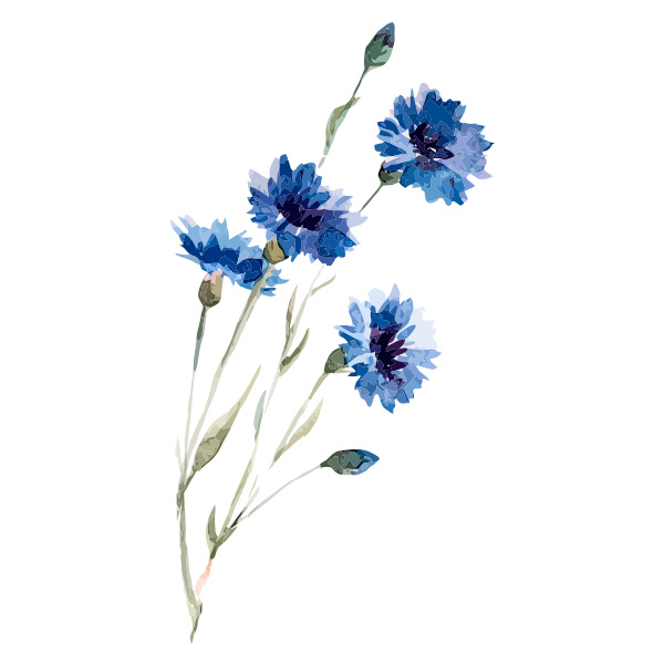 Mis XV - Morena | Genially