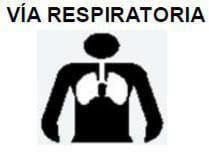 Infografía de módulo | Genially