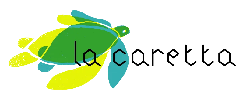 tortue 3