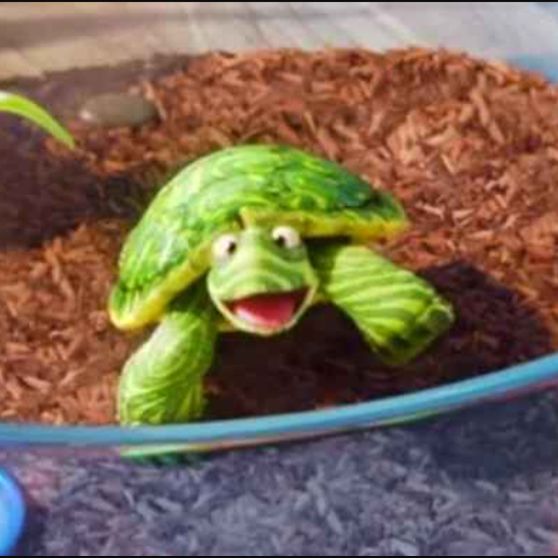 11 have has | Genially