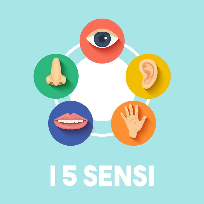 i cinque sensi | Genially