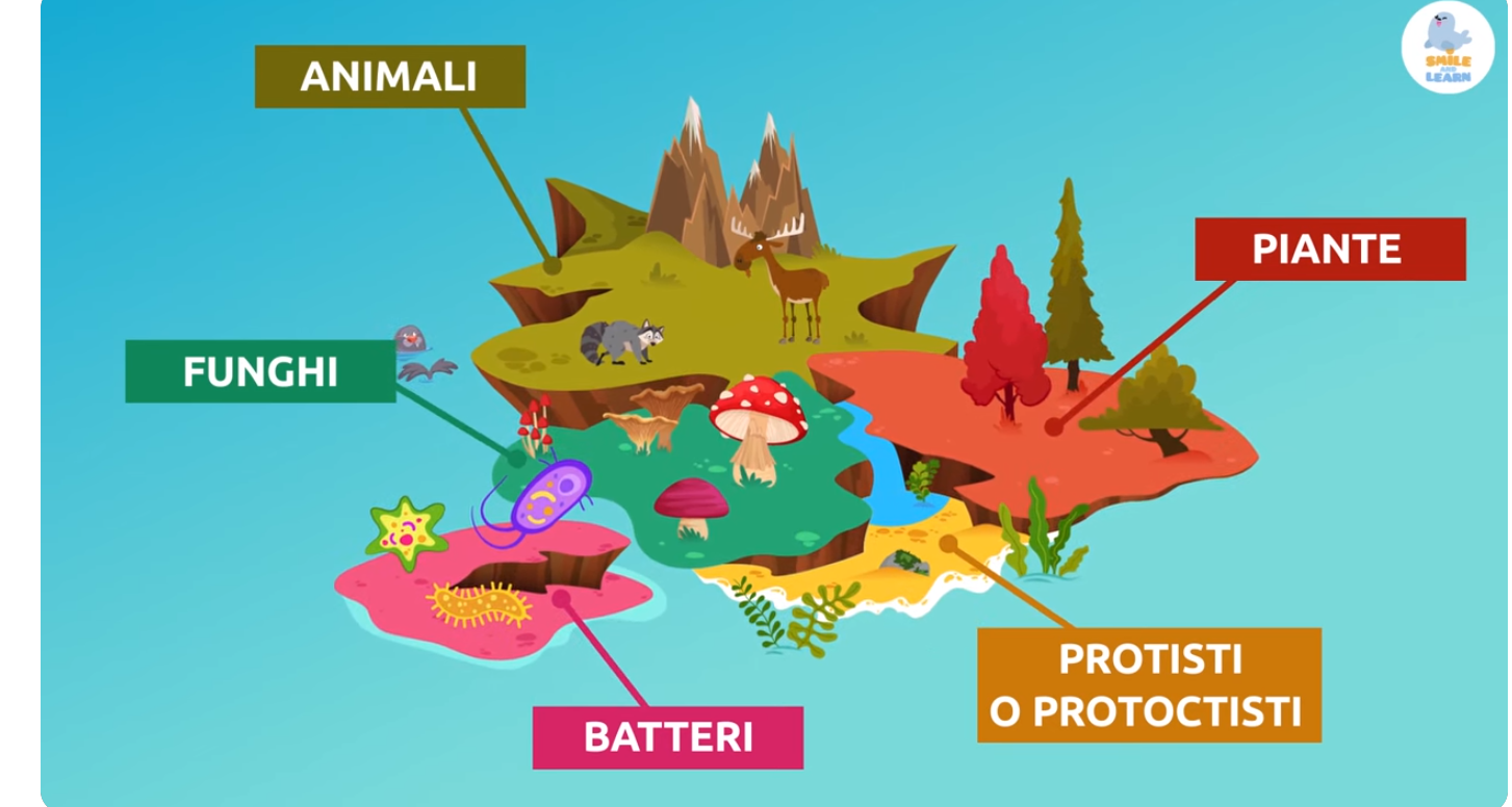 I cinque regni | Genially