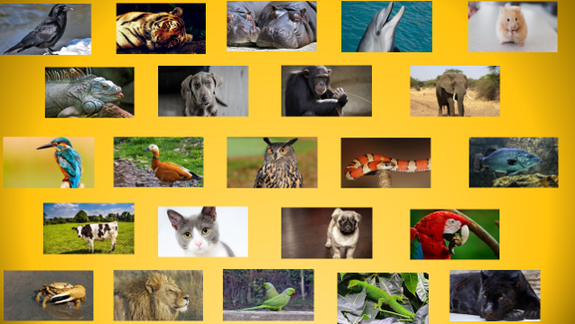 tipos de animales | Genially
