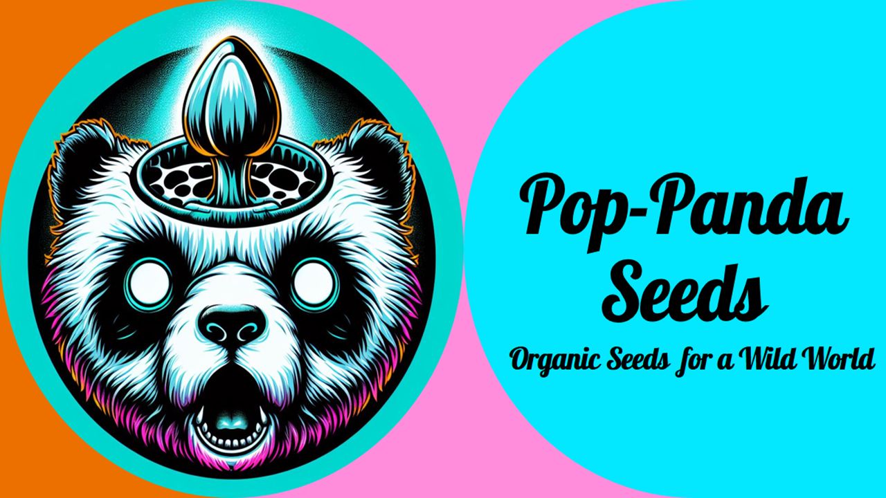 Pop-Panda Seeds