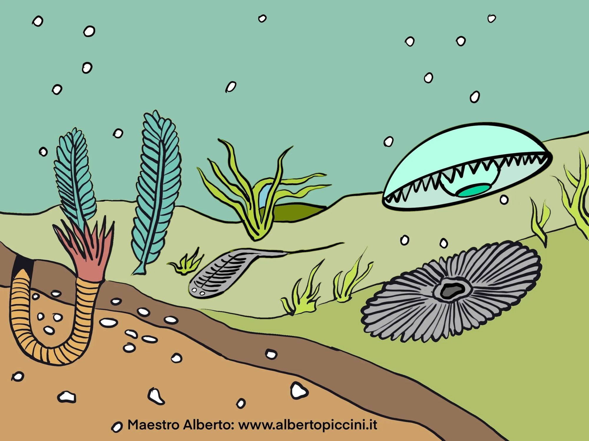 LA LINEA DEL TEMPO (ere geologiche) | Genially