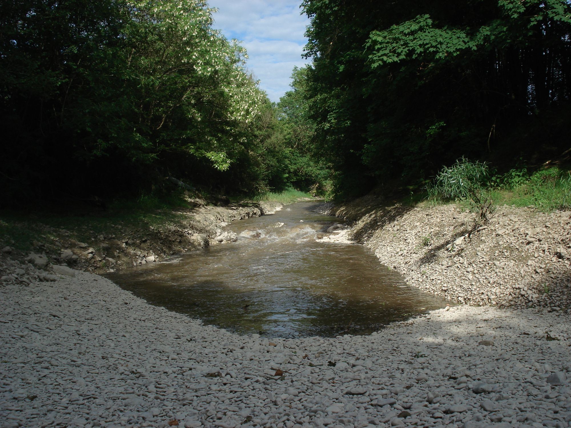 EcoFlowS_photos_Invertebrates_studies | Genially