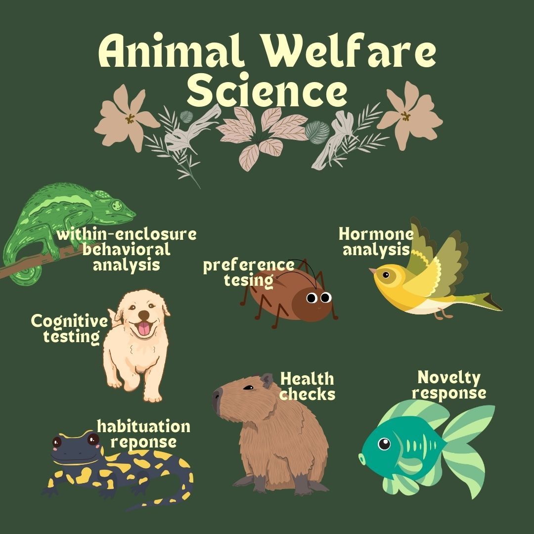Animal welfare science | Genially