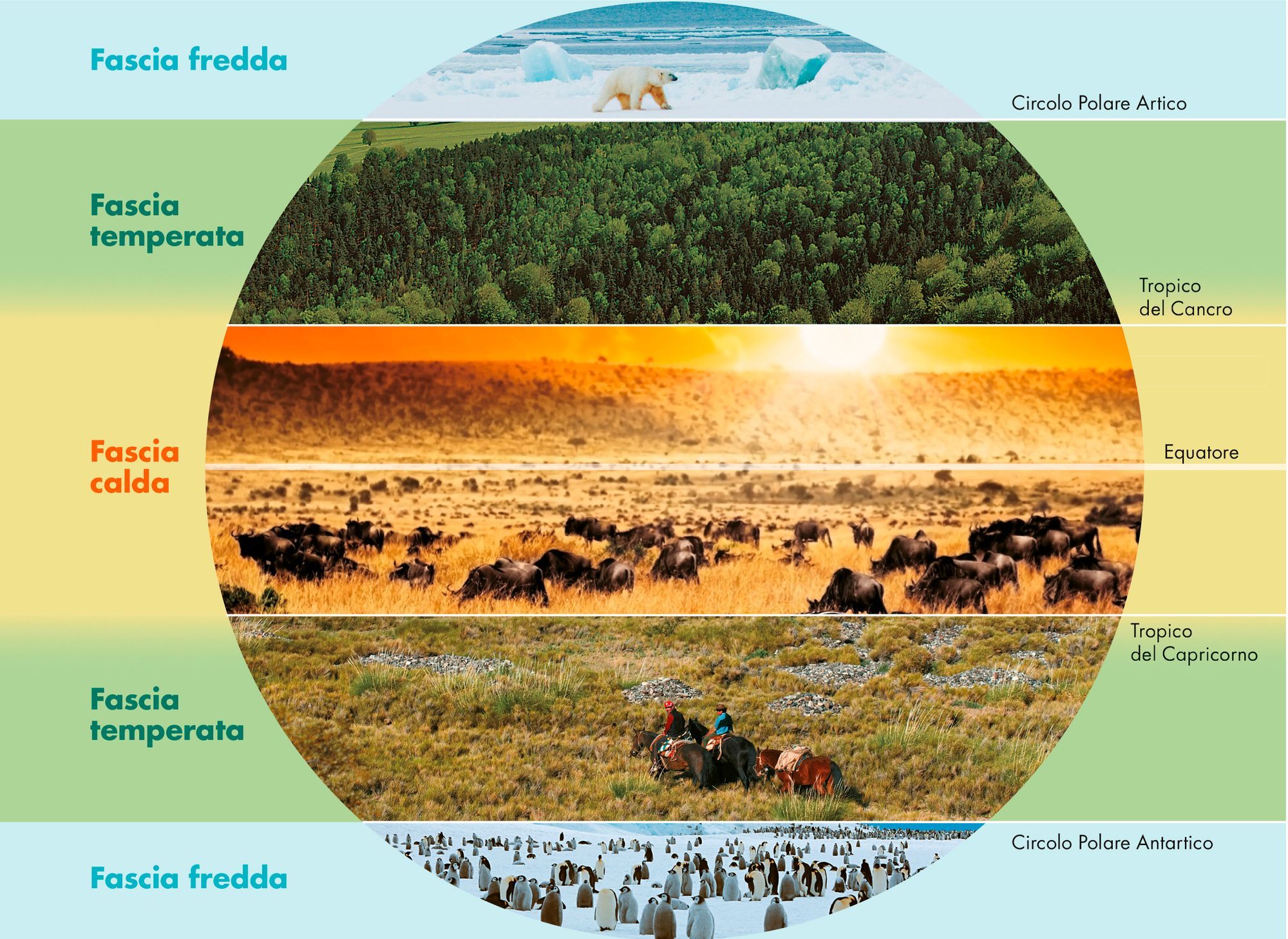 Le fasce climatiche | Genially