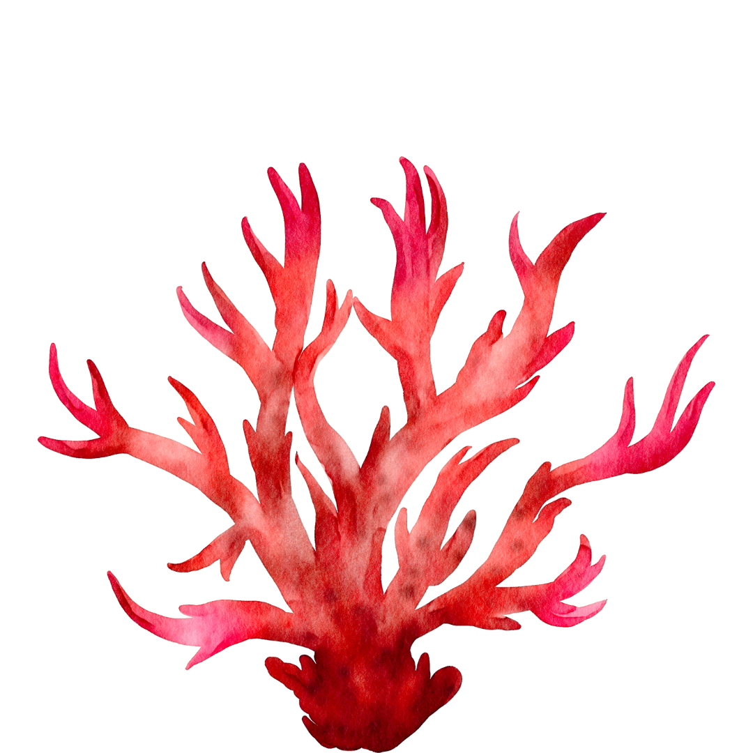 lesson 15 | Genially