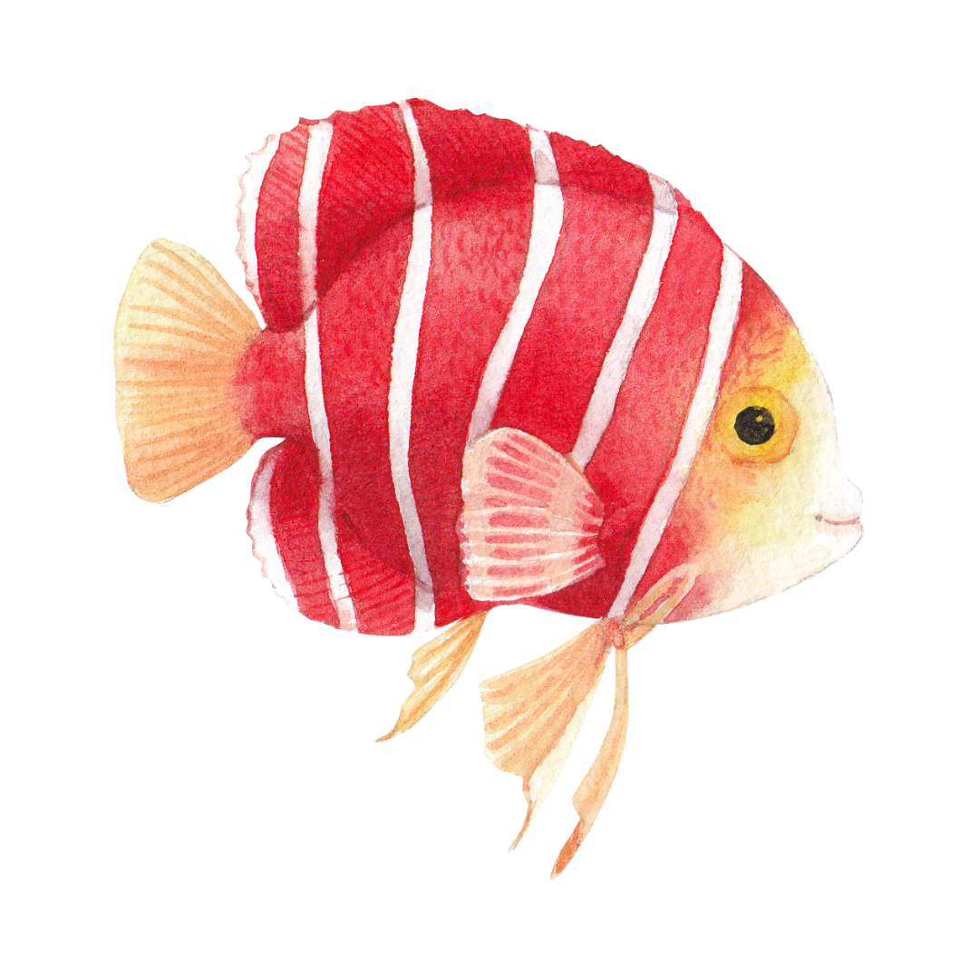 lesson 15 | Genially