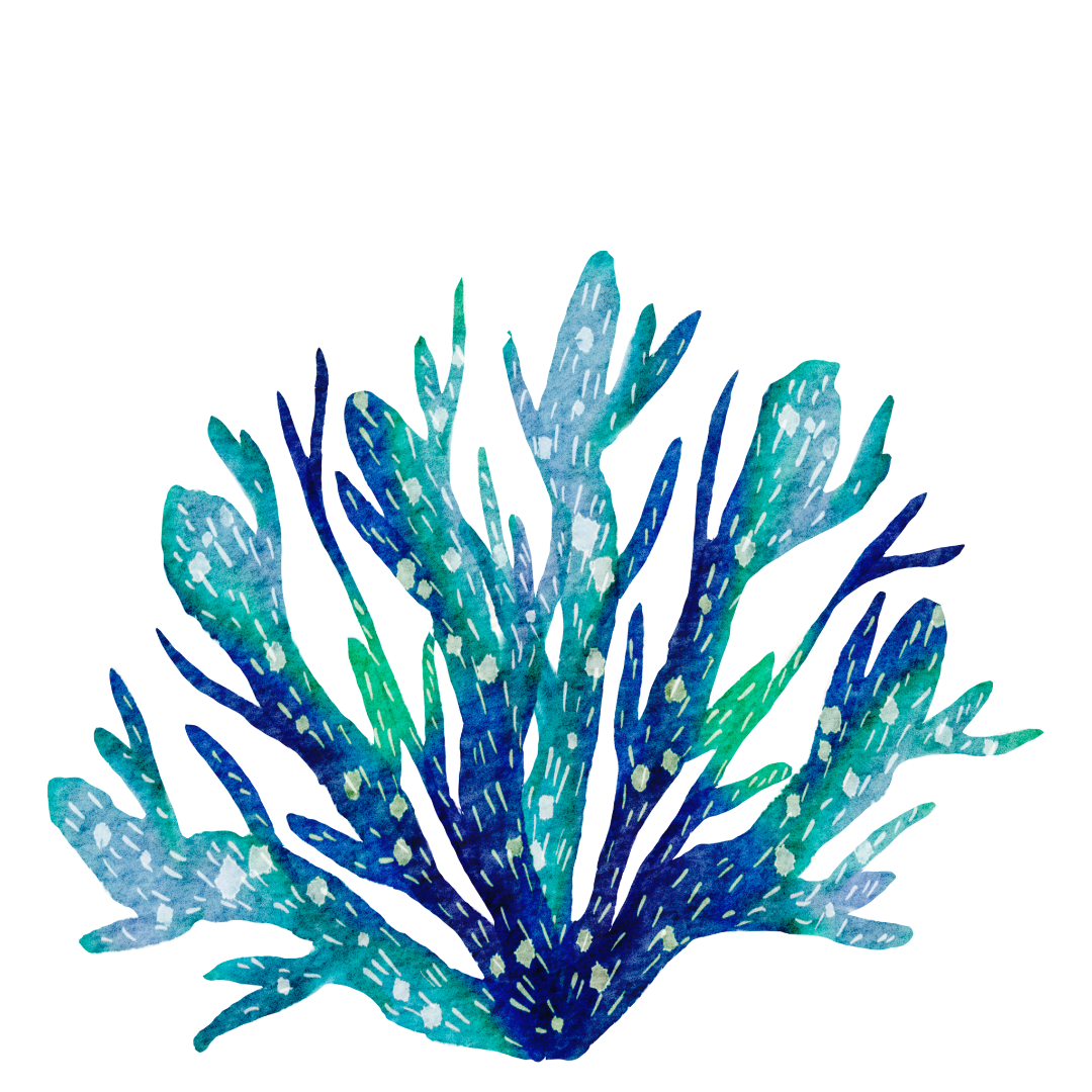 lesson 15 | Genially