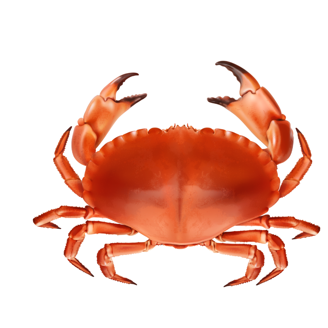 lesson 15 | Genially