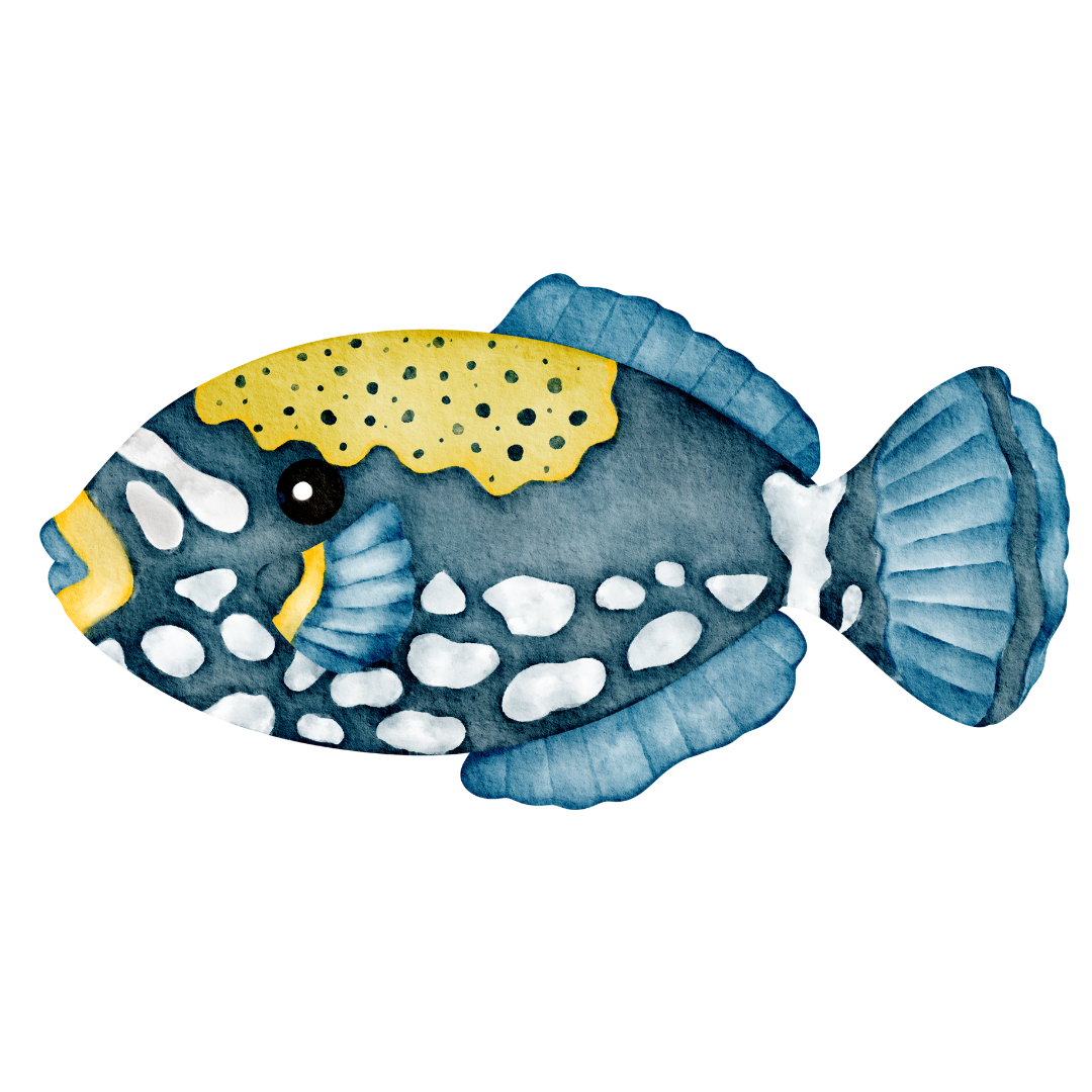 lesson 15 | Genially