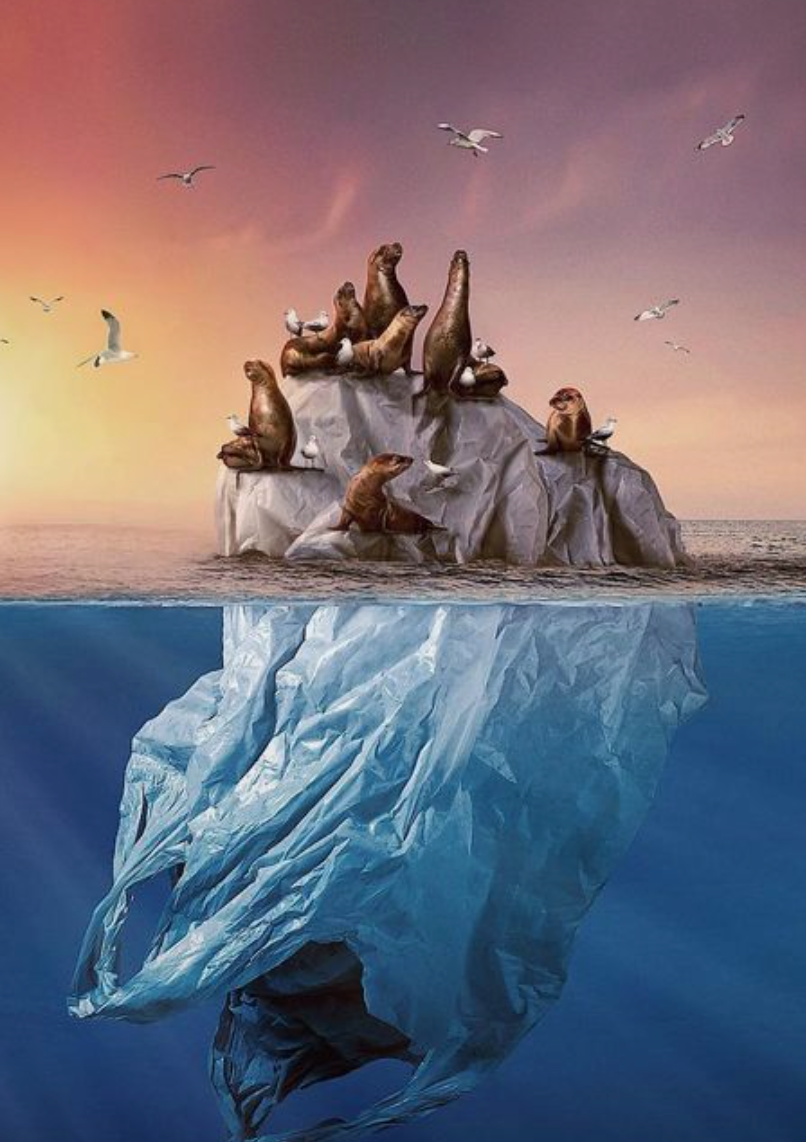 Visita a central park