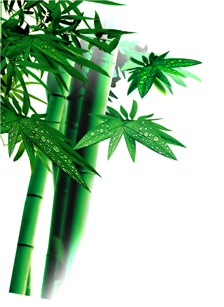 WORD SEARCH | Genially