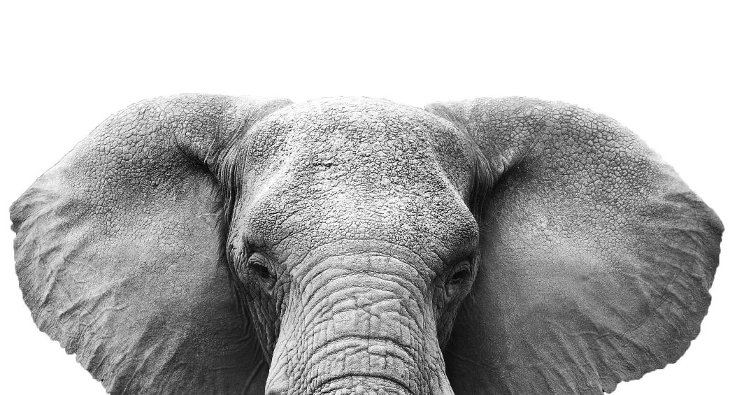 Essential Presentation | Genially