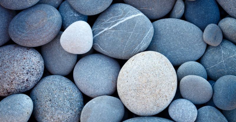 Visita a central park | Genially