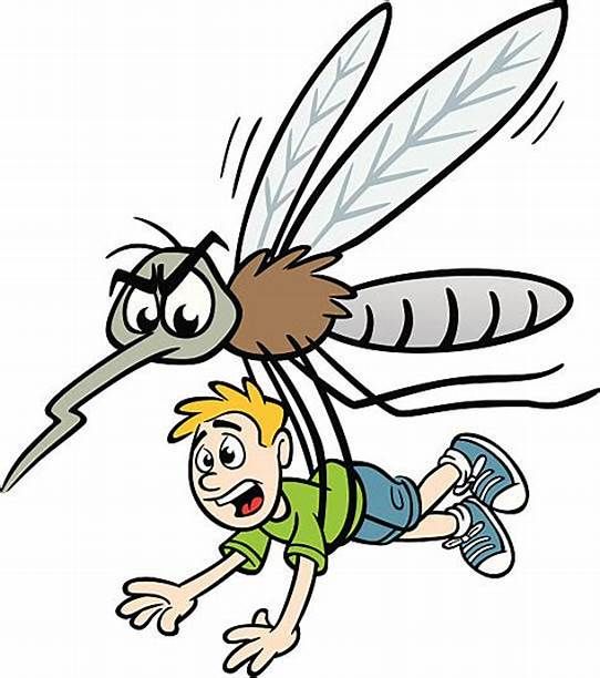 CADENA EPIDEMIOLÓGICA DENGUE | Genially