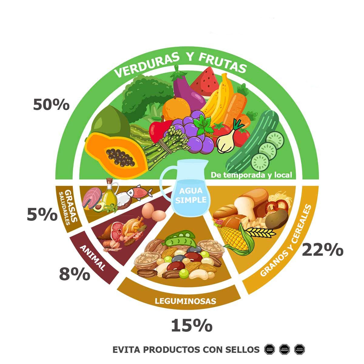 Proyecto del plato del buen comer | Genially