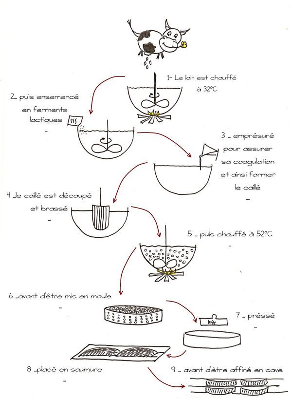 Fermentation lactique