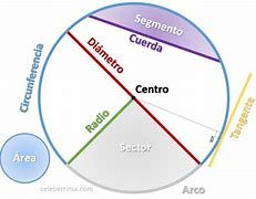Explorado las partes del Circulo | Genially