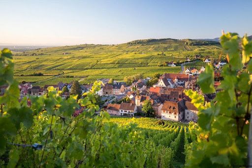 ALSACE | Genially