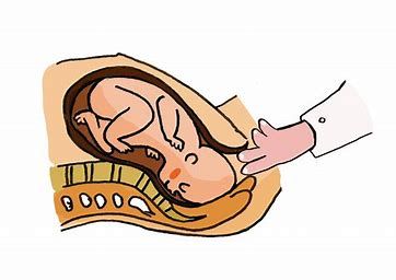 MAPA MENTAL EDUCACIÓN | Genially