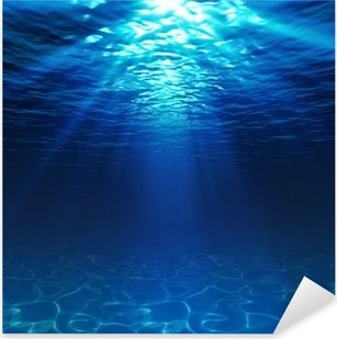 exposé svt | Genially