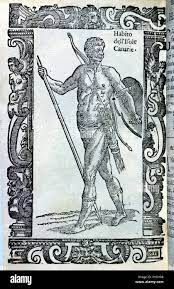 Infographie essentielle