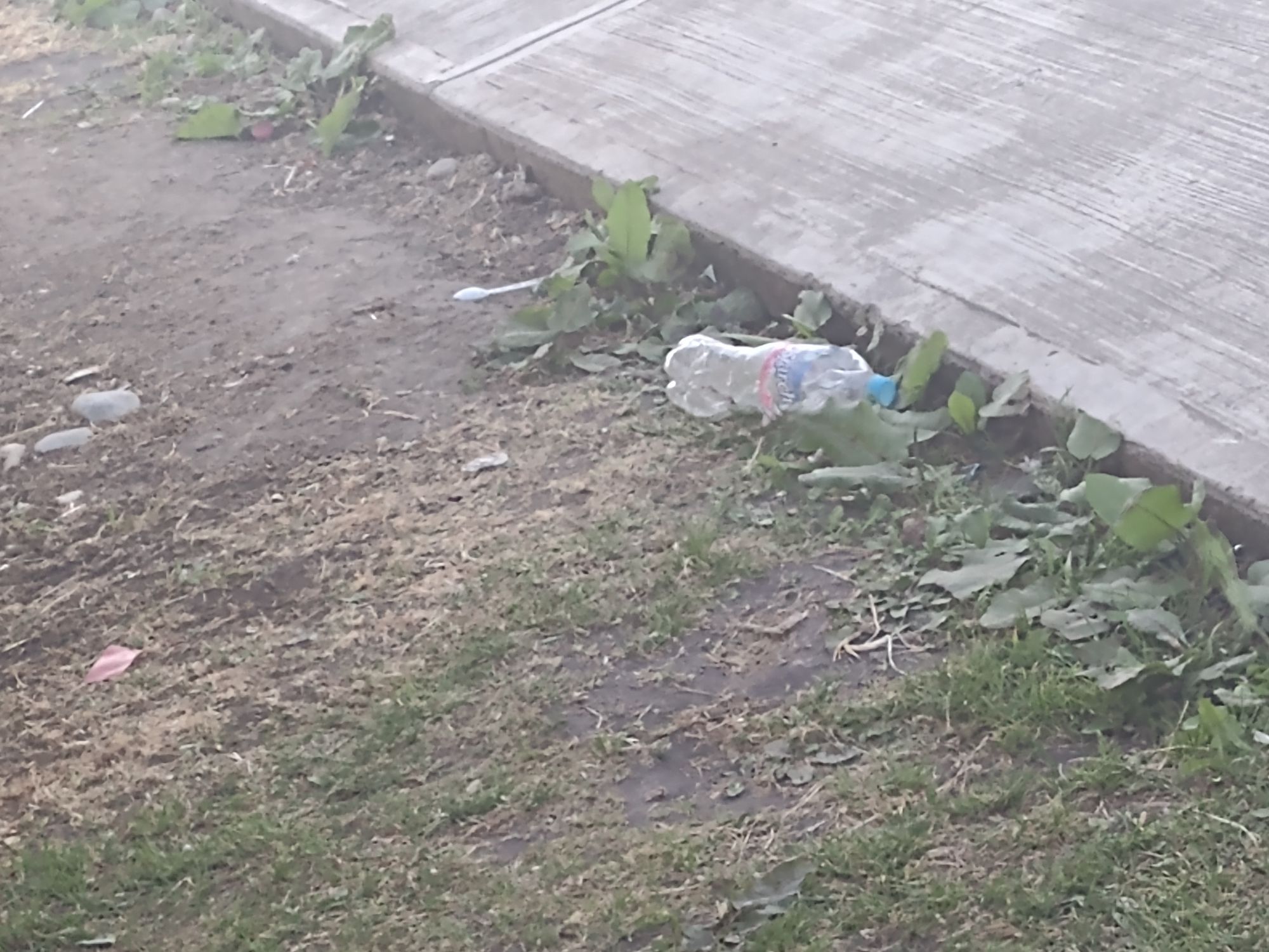 COLLLAGE GIGITAL_ALAN YAHIR PEREZ RIVERA