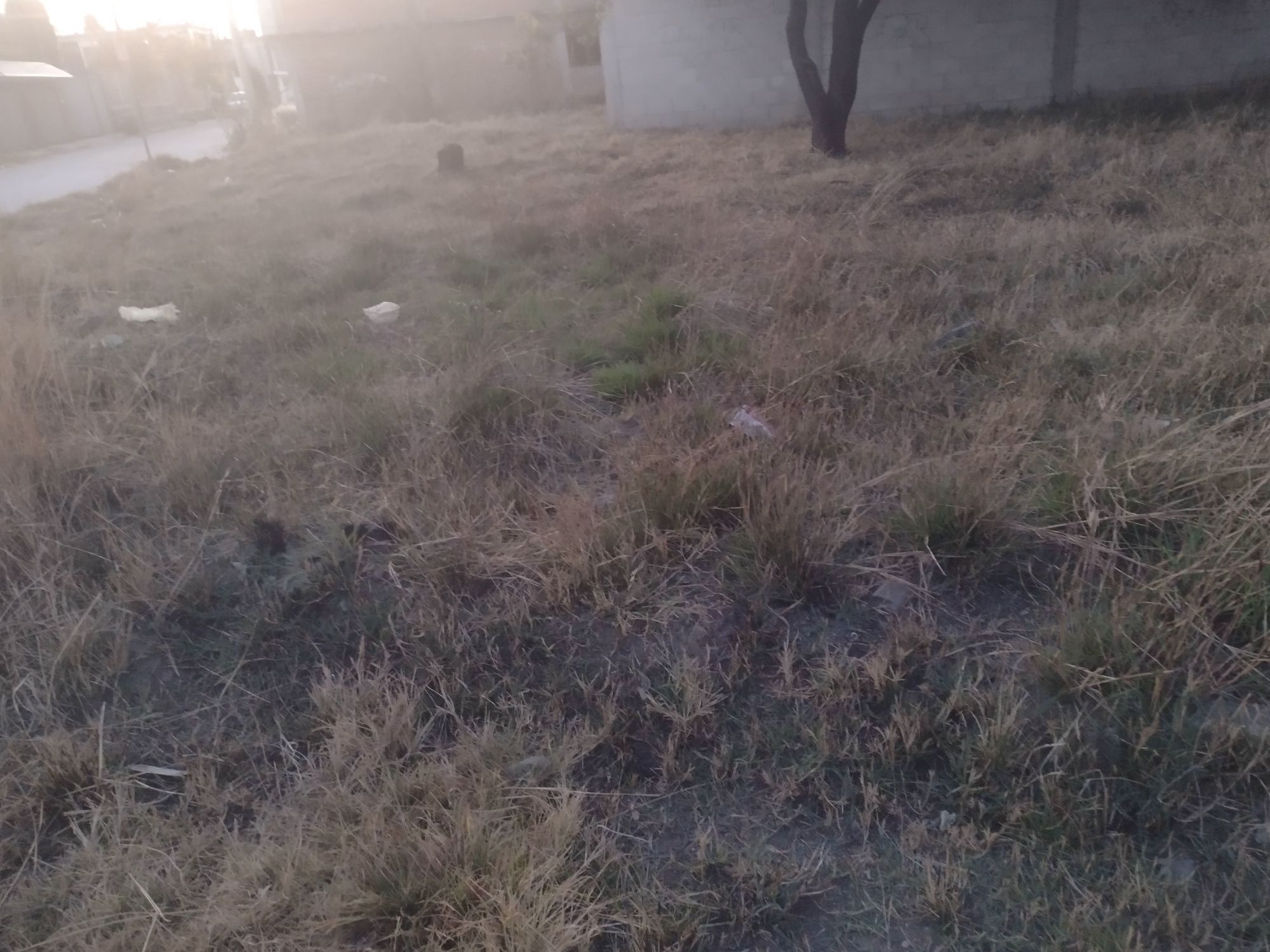 COLLLAGE GIGITAL_ALAN YAHIR PEREZ RIVERA