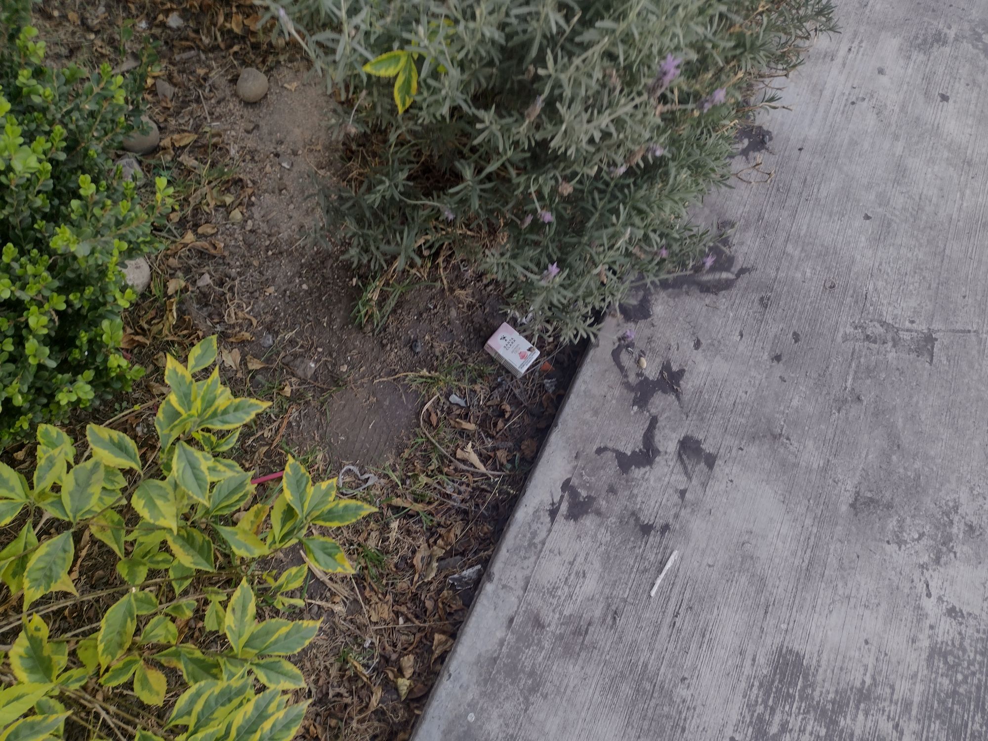 COLLLAGE GIGITAL_ALAN YAHIR PEREZ RIVERA | Genially