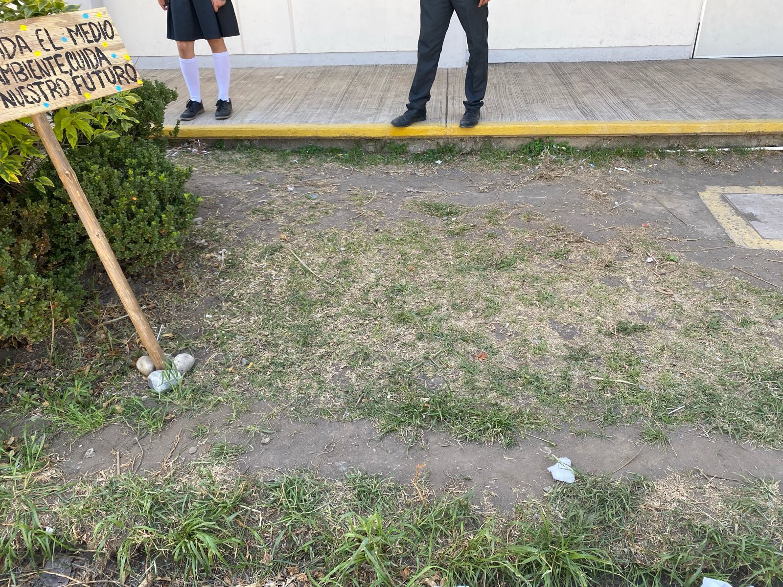 collage areas verdes | Genially