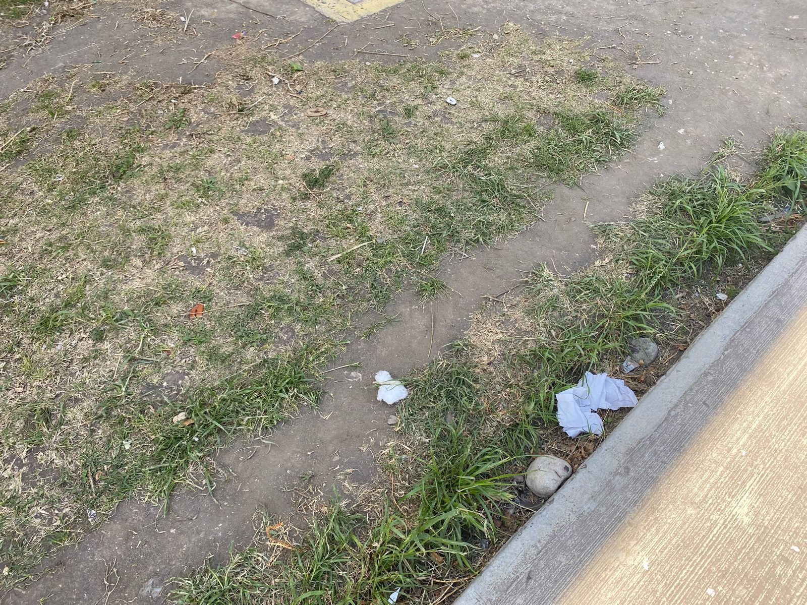 collage areas verdes | Genially