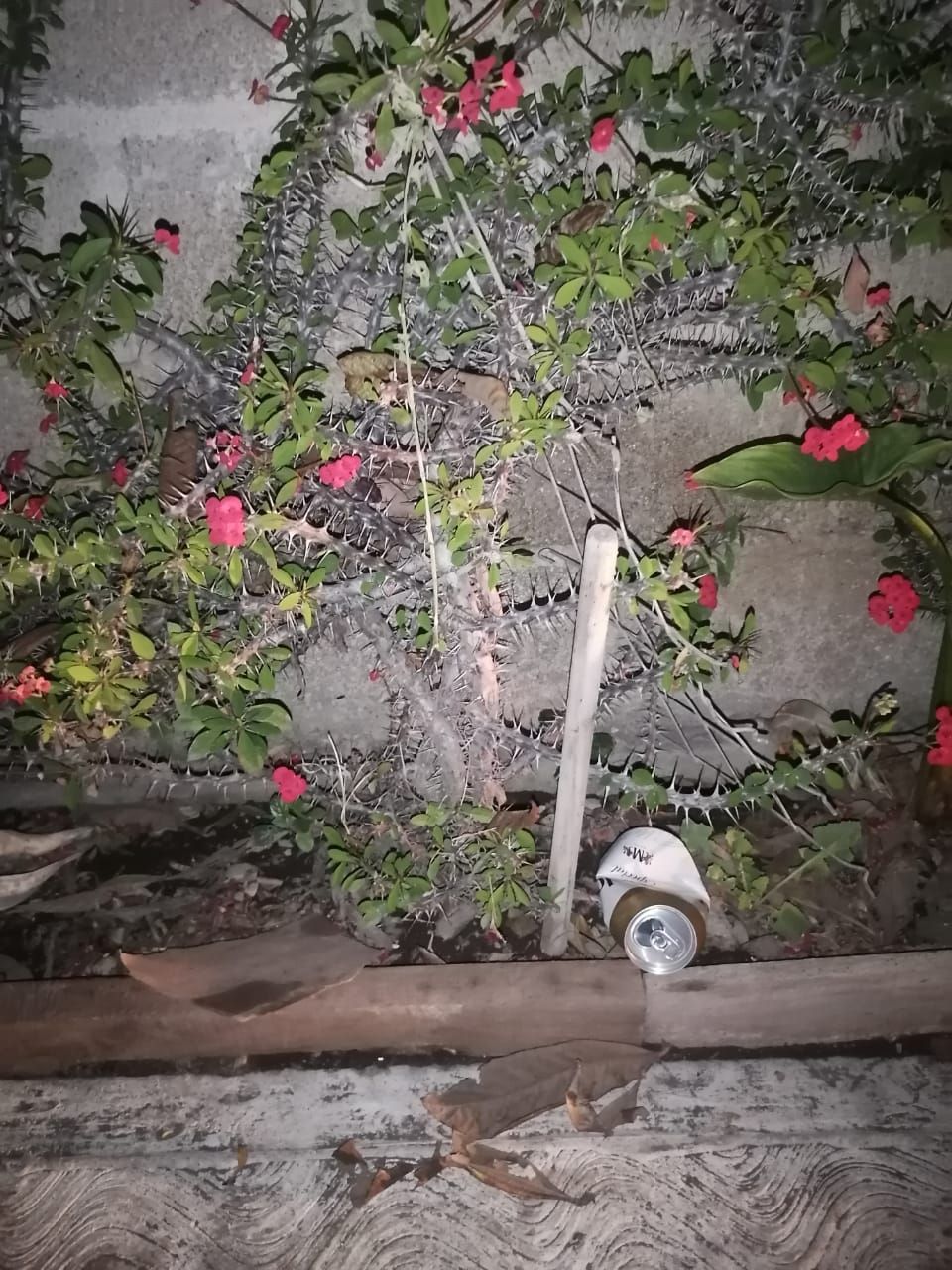 collage areas verdes | Genially