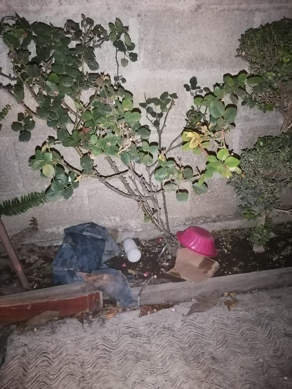 collage areas verdes | Genially