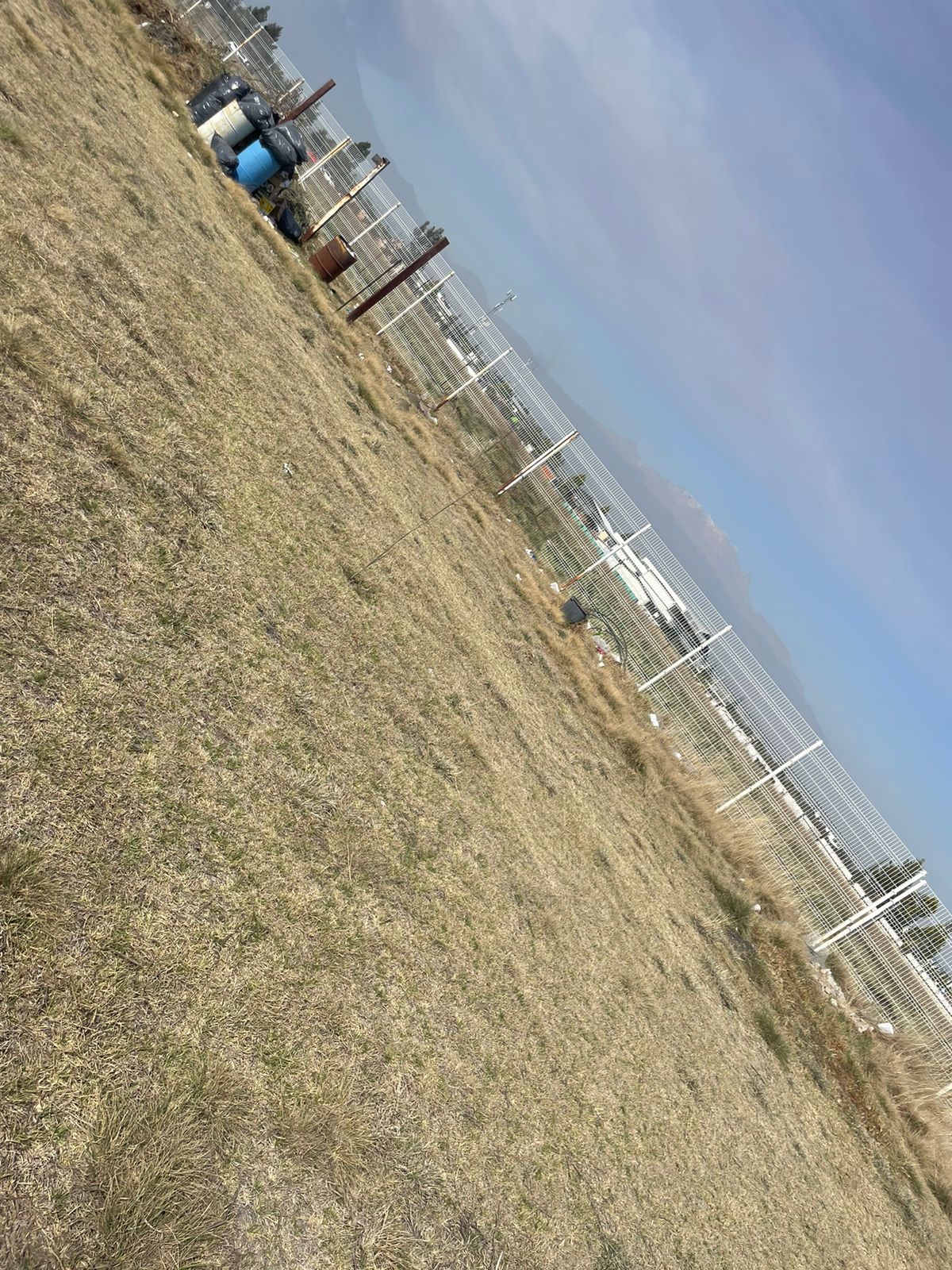 Áreas verdes luz Jaret Morales Morales