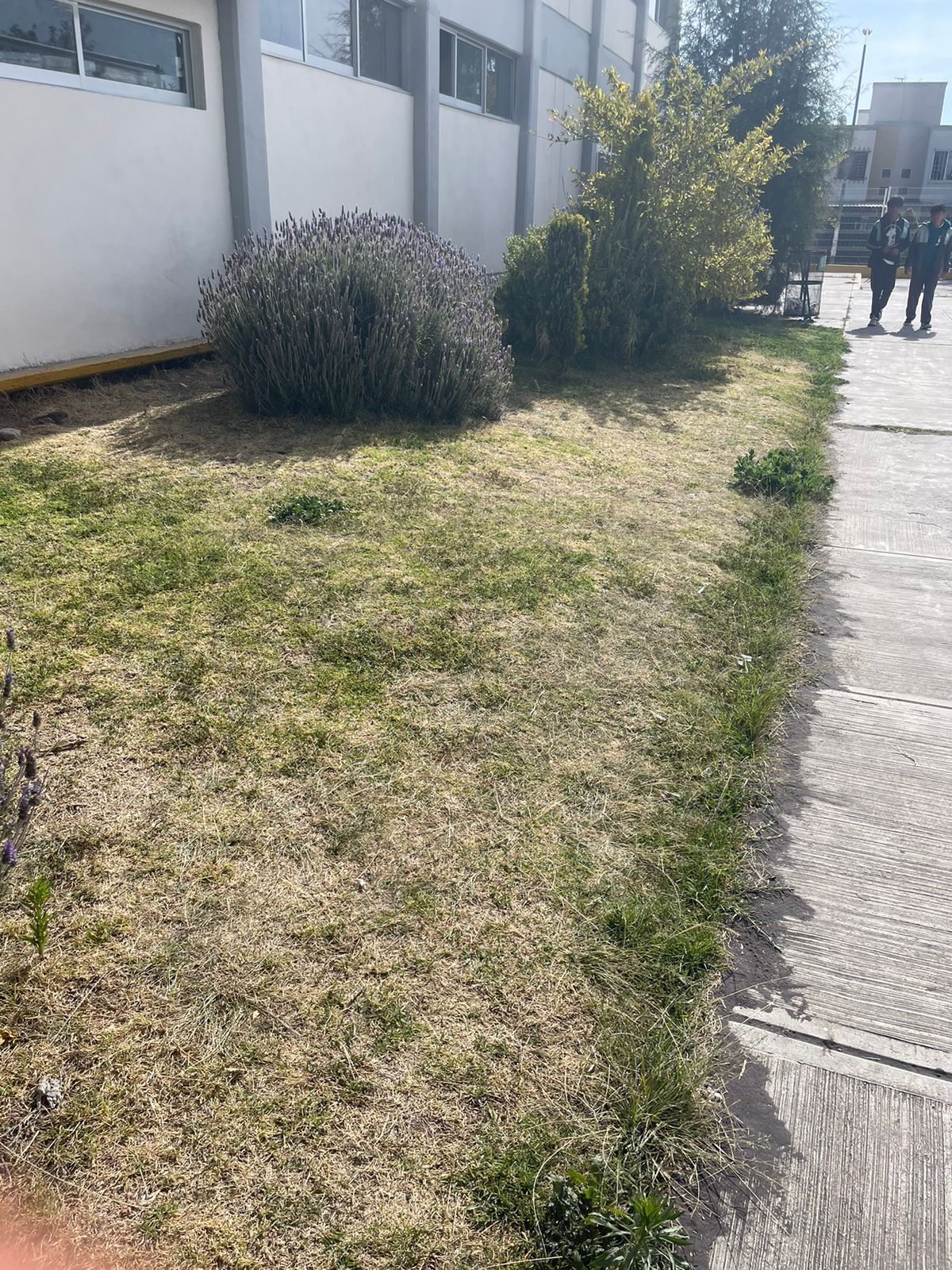 Áreas verdes luz Jaret Morales Morales | Genially