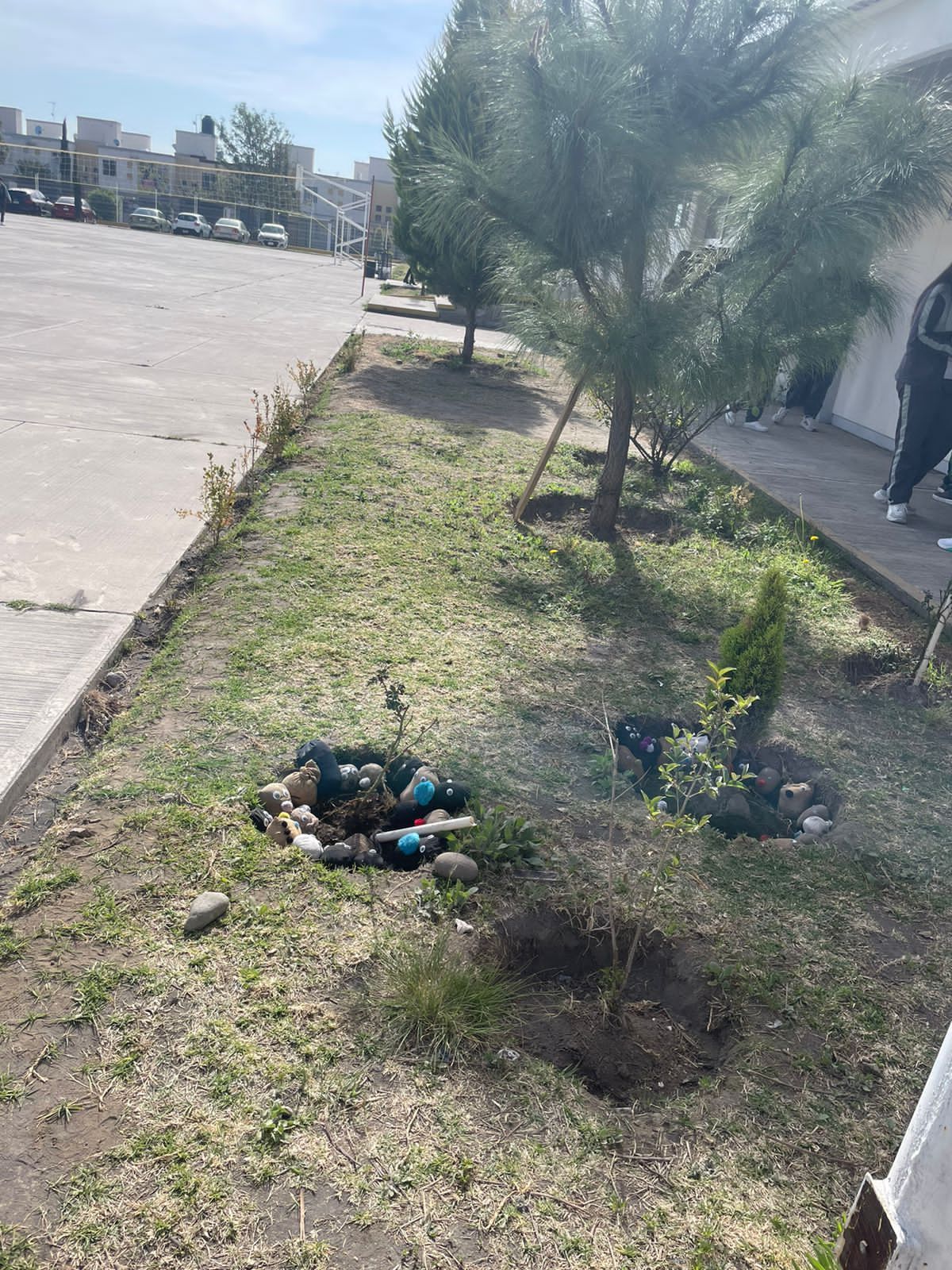 Áreas verdes luz Jaret Morales Morales | Genially