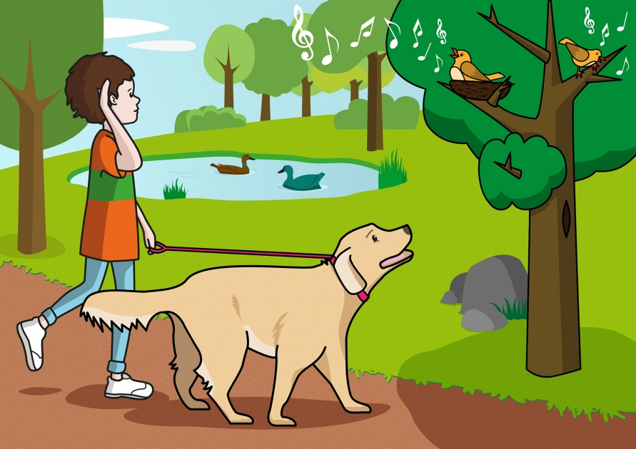 PHOTO GALLERY | Genially