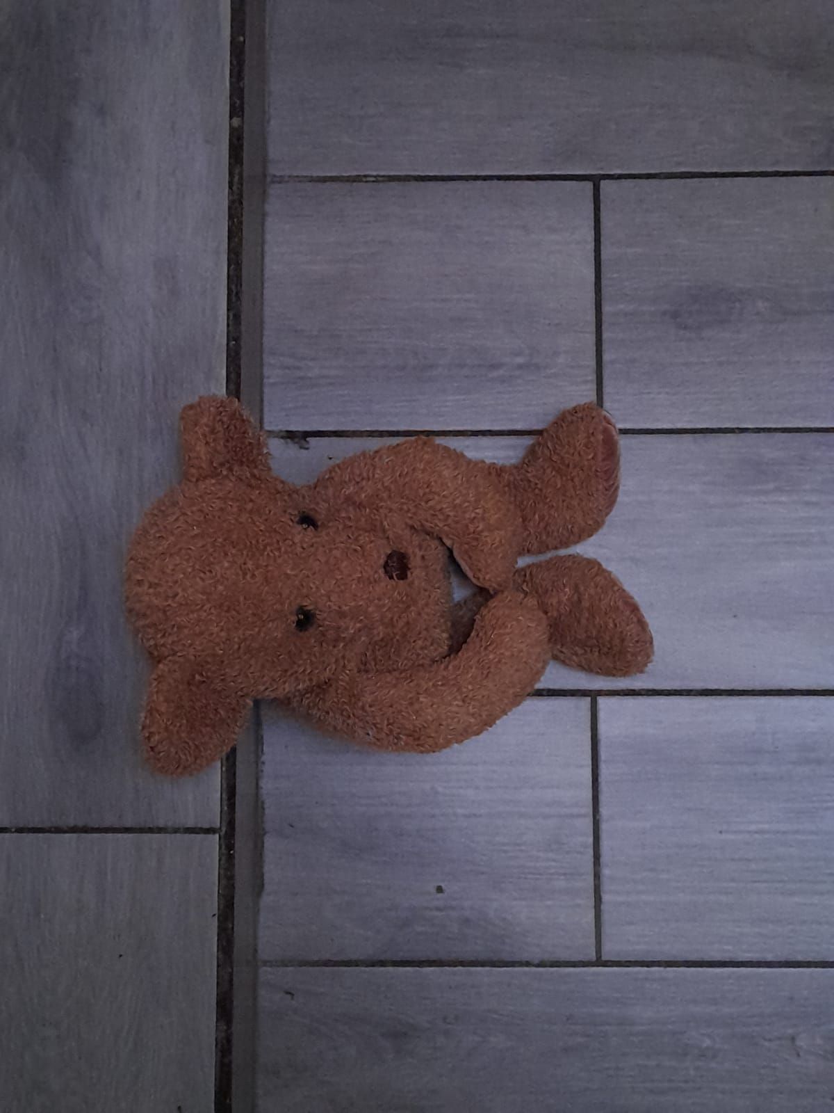 ANGULOS FOTOGRAFICOS | Genially