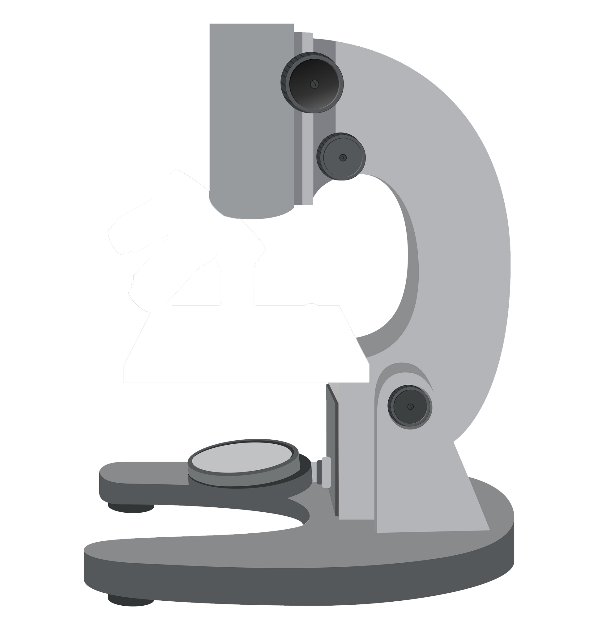 Compound Microscope | Genially