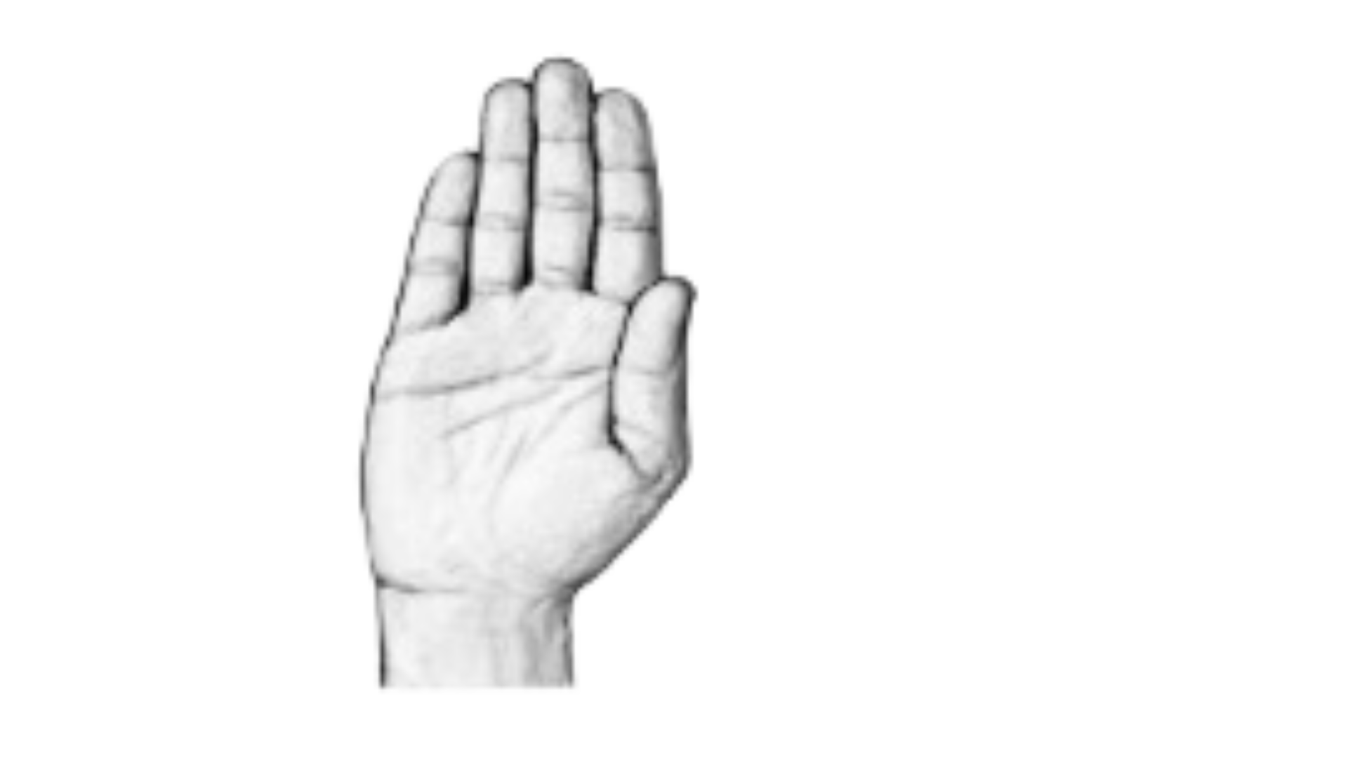 Learn 3.8 Handshapes